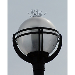 Nixalite Bird Spike Wildlife Barrier Kit (10ft, 5-2ft Strips)