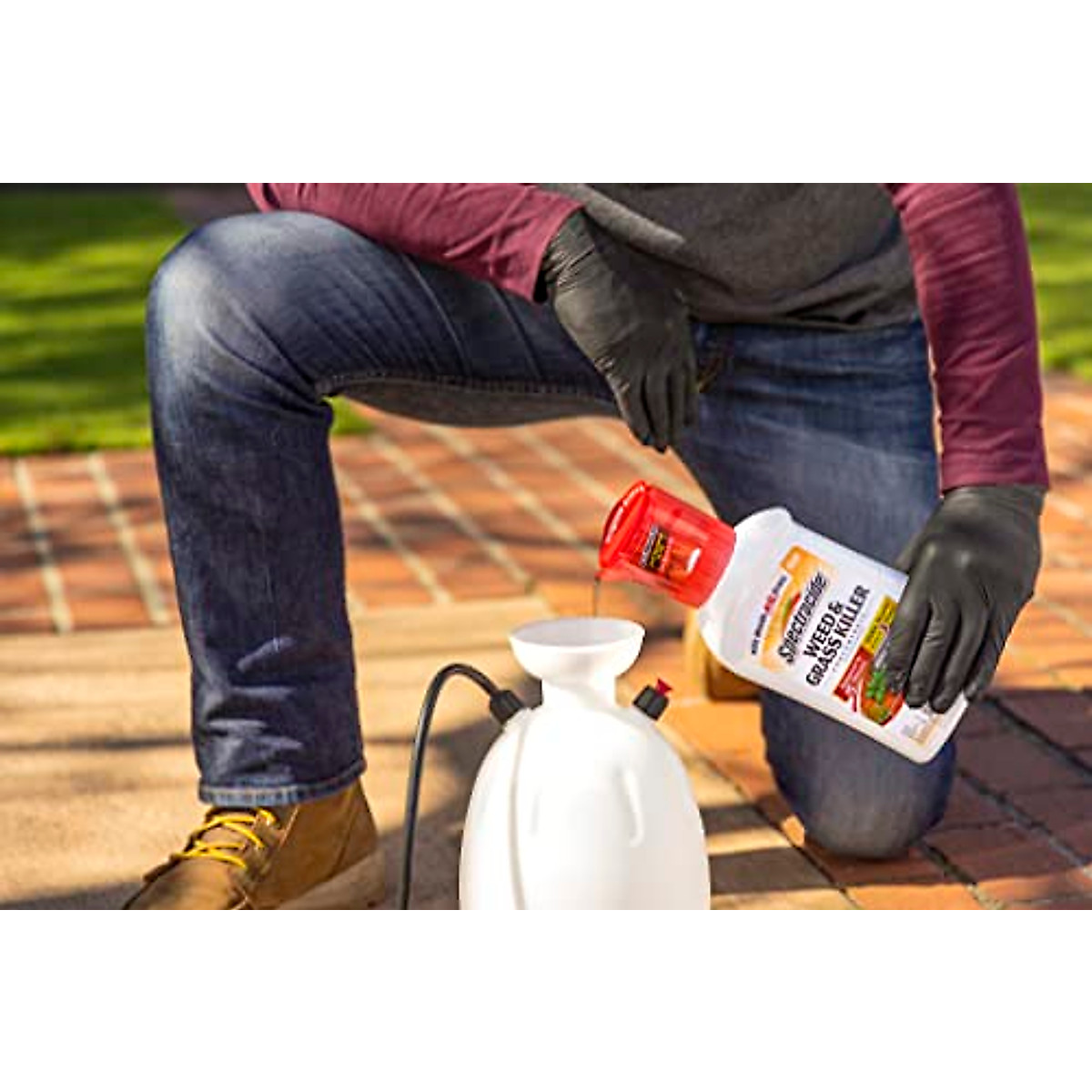 Spectracide Weed and Grass Killer Concentrate, 32 Ounces, With Accumeasure System