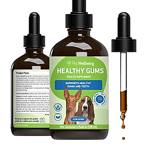 Pet Wellbeing Healthy Gums for Dogs - Gums & Dental Health, Oral Care, Healthy Breath, Coenzyme Q10, Zinc Oxide, Calendula, Marshmallow Root - Veterinarian-Formulated Holistic Topical 4 oz (118 ml)