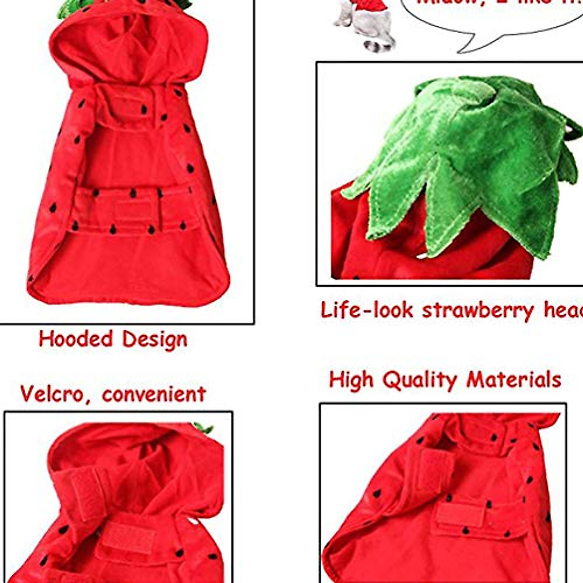 POPETPOP Cat Clothes - Strawberry Pet Halloween Costume Pet Apparel Puppy Kitten Strawberry Hooded Clothes Christmas New Year Birthday Party Daily Wear Dress Up