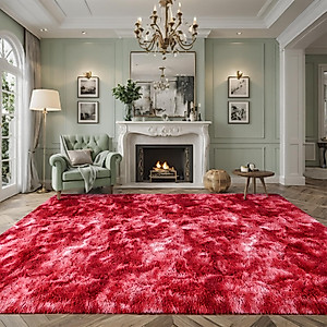 Larhom Fluffy Shag Area Rug, 4x6 ft Burgundy Red Tie-Dyed Shaggy Fuzzy Carpets for Living Room, Ultra Soft Plush Rugs for Bedroom, Girls Kids Room, Nursery Dorm Home Decor, Non-Slip