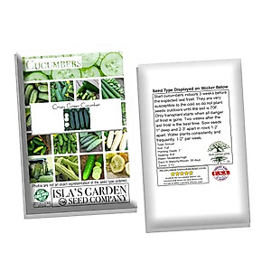 "Crispy Green" Cucumber Seeds for Planting, 25+ Seeds Per Packet, (Isla's Garden Seeds), Non GMO & Heirloom Seeds, Botanical Name: Cucumis sativus, Great Home Garden Gift