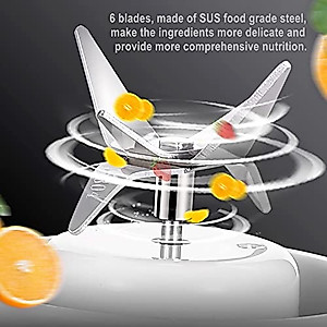 Portable Blender, Fresh Juice Blender Bottles Upgrading 480ML 6 Blades, Blender for Shakes and Smoothies