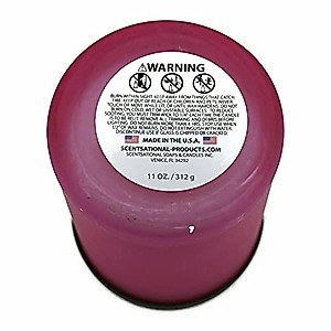 Scentsational Candles Scentsational Coconut Beeswax Scented Candle 11oz Frosted Pink - Tangerine Guava