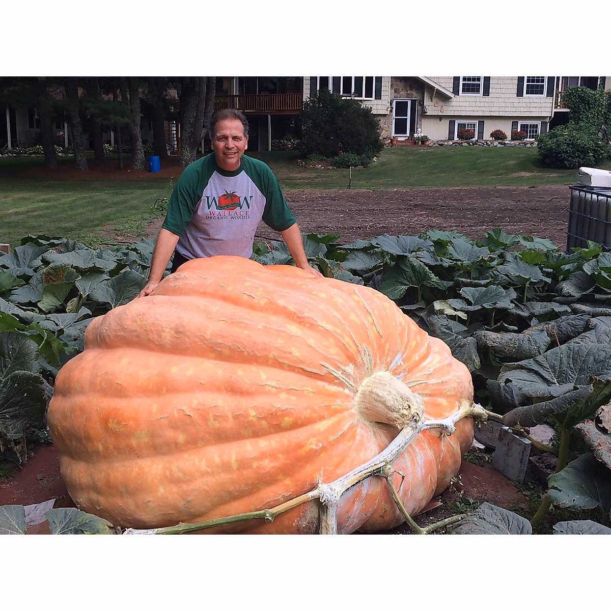 Compost Tea Aerator - The BubbleSnake : 5 Gallon Bucket Aerator