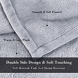MOONQUEEN Fleece Throw Blanket for Lightweight - Ultra Soft Velvety Texture Plush Fuzzy Cozy Blankets and Throws for Sofa and Living Room (Silver Gray, 50x60 in)