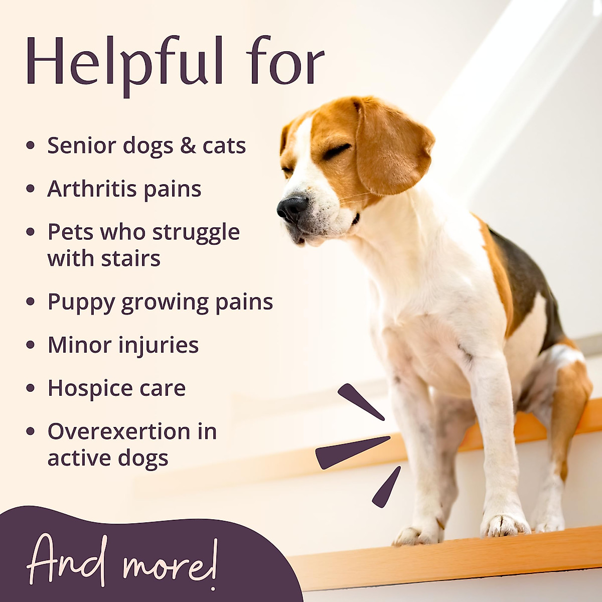 Glacier Peak Holistics Inflapotion - Natural Anti-Inflammatory Relief for Dogs & Cats, Organic Remedy Arthritis, Inflammation, Hip & Joint Pain - 3oz