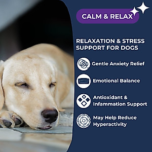 Dogletics Calm & Relax Soft Chew Supplements for Dogs - Reduce Stress & Anxiety, Behavioral Support, Promote Rest & Relaxation for Active Dogs