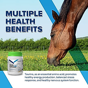 CareFound Taurine Pure Powder Support of Proper Nerve Transmission No Additives for Horse 1000g