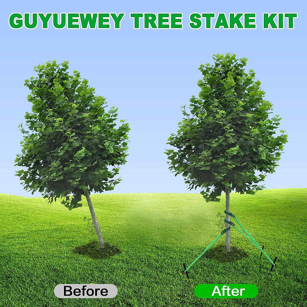 Guyuewey Heavy Duty Tree Stake Kits, Tree Stakes for Young Trees Straightening, Garden Tree Supports for Leaning Tree Outdoor, 3Pcs Tree Straps, 3Pcs Metal Stakes, 3Pcs Rope for Anchoring (1)