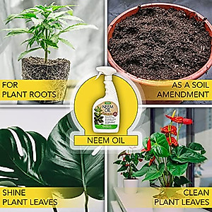 Harris Neem Oil Spray for Plants, Cold Pressed Ready to Use, 20oz