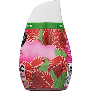 Renuzit Adjustable Solid Gel Air Freshener Cone, Forever Raspberry, Nonstop Freshness, 7 Ounces, 1 Cone