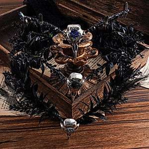 MOSTORY Gothic Black Feather Crown - Witch Headpiece Elf Raven Headband Fairy Circle for Witch Outfit Renfaire Halloween Cosplay Dark Wedding Renaissance Costume Women