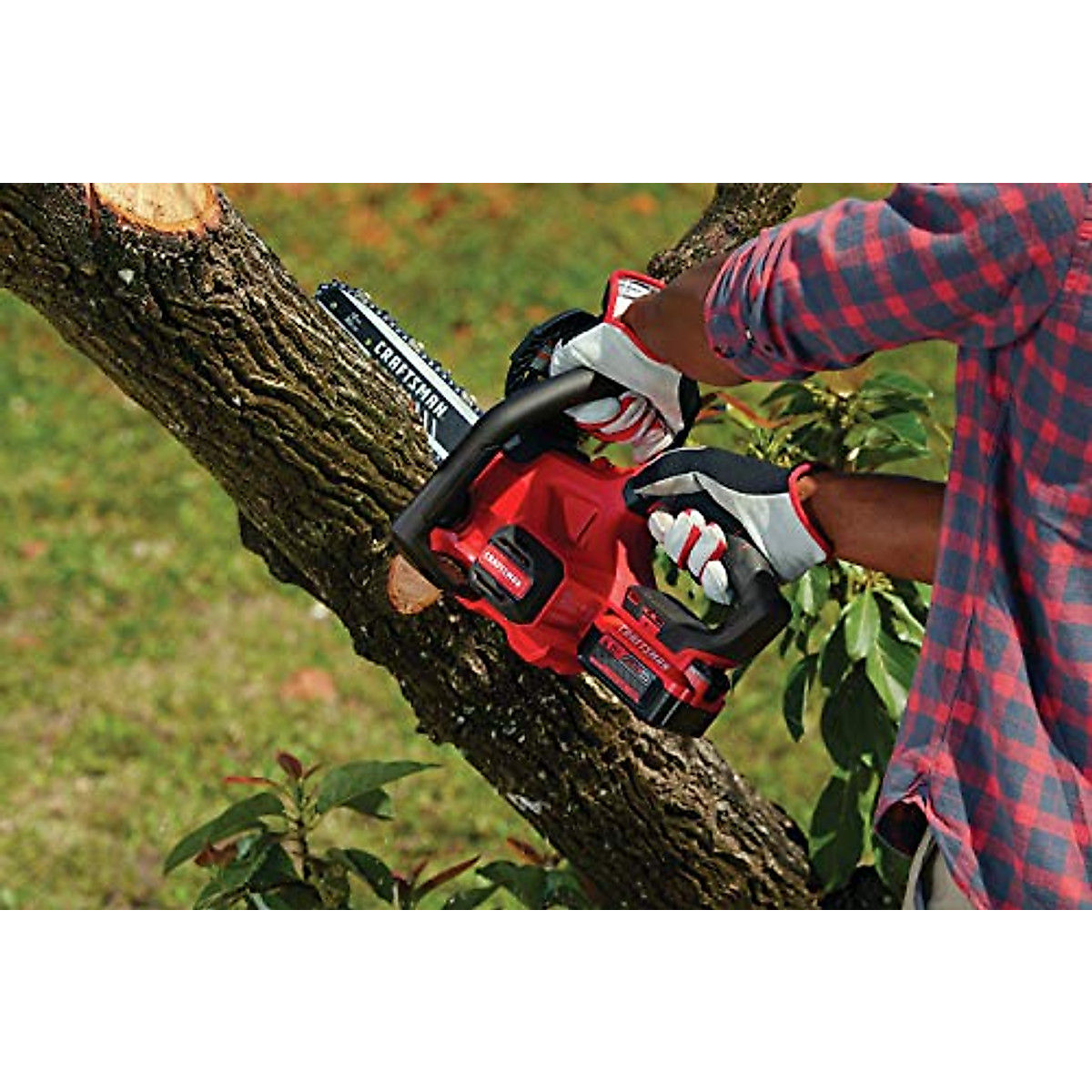 CRAFTSMAN V20* Cordless Chainsaw, 12-Inch (CMCCS620M1)