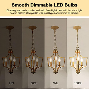 E12 Candelabra Bulbs 60 Watt Dimmable, LED Chandelier Light Bulbs Candle Bulb 6W 3000K Soft White, B11 LED Bulb Filament Decorative Small Base 500 Lumens Clear Glass, Pack of 6
