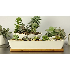 11inch Long Rectangle White Ceramic Succulent Planter Pots/Mini Flower Plant Containers with Bamboo Saucers. Product Size:11x2.36x1.77inch,not Include The Plant. (Long Rectangle)