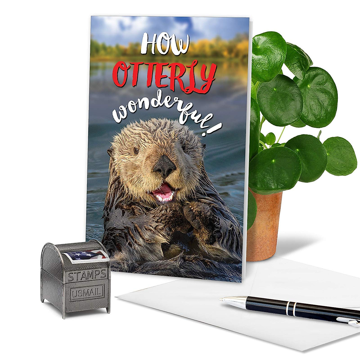 NobleWorks - Fun Congratulations Card with Envelope - Congrats Humor, Encouragement Greeting - Otterly Awesome C6574FCGG