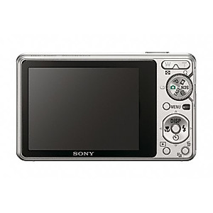 Sony Cybershot DSC-S980 12.1MP Digital Camera with 4x Optical Zoom with Super Steady Shot Image Stabilization (Silver)