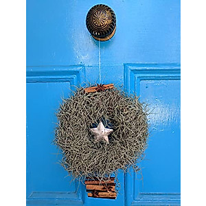 Mosser Spanish Decorative Moss, 250-Cubic Inch