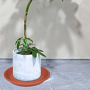 SAUCERHOME 5 Packs Plant Saucer Pot Tray 6 8 10 12 14 16 19 20 Inch Plastic Flower Planter Saucers and Drip Trays for Indoors Outdoors, Heavy Durable Plant Plate Water Catcher (6 Inch Terracotta)