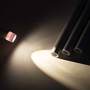 Generic (Pack of 10) U.S. Army Disposable Diagnostic Penlight Medical Nurse Penlight - Batteries Included (White)