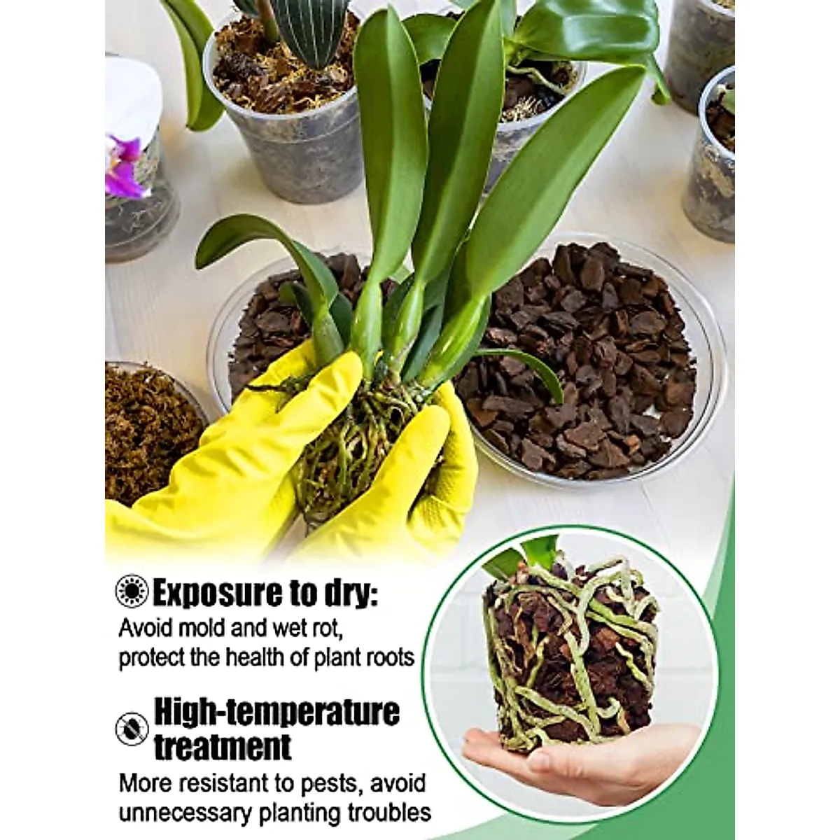 5 Quarts Orchid Potting Bark, Sun-Dried New Zealand Medium Organic Pine Wood Chip Barks for Orchids Mix Plant Compost, Natural Houseplant Mulch for Plant Root Development