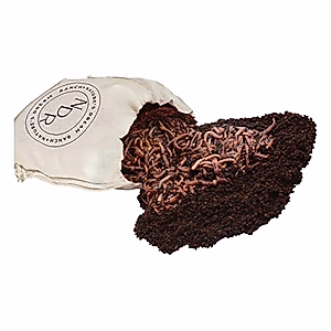 Nature's Dream Ranch 150 Count Live Red Wiggler Earthworms Vermicomposting Garden Red Wrigglers - Farm Composting, EW001-150A 0