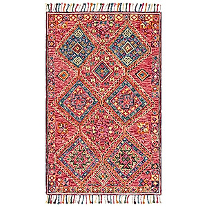SAFAVIEH Aspen Collection 4' x 6' Red/Blue APN111Q Handmade Boho Braided Tassel Premium Wool Entryway Living Room Foyer Bedroom Accent Rug