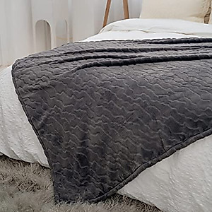 Cozy Bliss Milk Throw Blanket for Couch, Bed Fleece Blanket Twin Size Ultra Soft & Lightweight Plush Sofa Grey Throw Blanket,60"x80"