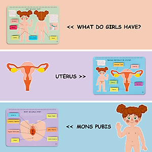 Freebear Montessori Busy Book for Kids, Human Body Anatomy Book for Toddlers, Preshool Kindergarten Learning Activities, Autism Sensory Toys, Travel Toys, Gifts for Girls and Boys 4 5 6 7 8 Years