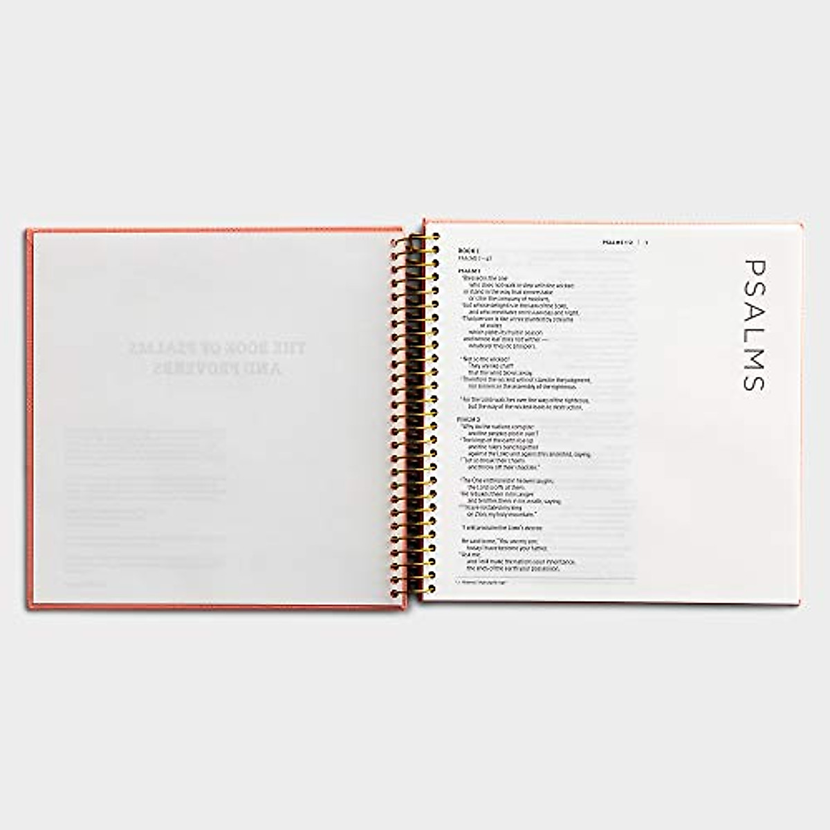 Illustrating Bible NIV: Books of Psalms & Proverbs - Spiral Bound Bible Journal, Coral