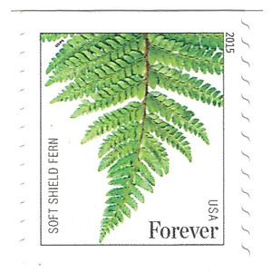 USPS Ferns Stamps - 50 Forever Stamps (5 Strips of 10 Stamps)