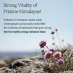 NARD Shampoo and Conditioner Set Signature - Scalp Vitality, Soft Cleansing, Hair Care, and Treatment (Containing Argan Olive Jojoba Macadamia Sunflower Oil, Protein, and Amino Acids) - 33.8 oz