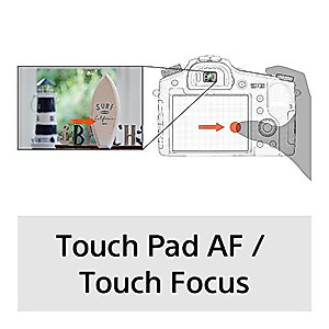 Sony Cyber?Shot RX10 IV with 0.03 Second Auto-Focus & 25x Optical Zoom (DSC-RX10M4) (Renewed)