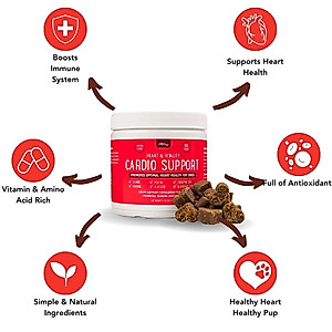 iHeartDogs Heart & Vitality Cardio Support for Dogs - Dog Heart Health Supplement with Anchovy Oil, Taurine, Flaxseed, Arginine, Blueberry Extract, Coenzyme Q10