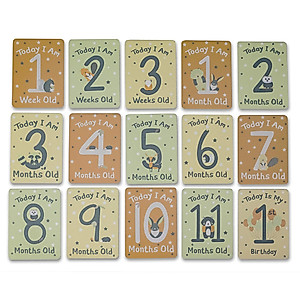 GroWings | Baby Milestone Cards 36 Cards Set | Baby Monthly Milestone Cards for Newborn Baby Boy or Baby Girl | Cleanable Milestone Cards