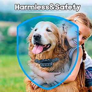 WIEZ GPS Wireless Dog Fence, Electric Dog Collar Fence,Pet Containment System,Range 65-3281ft, Adjustable Warning Strength, Rechargeable, Harmless and Suitable for All Dogs
