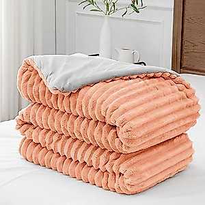 BEDELITE Fleece Queen Comforter Set -Super Soft & Warm Fluffy Coral Bedding, Luxury Fuzzy Heavy Bed Set for Winter with 2 Pillow Cases