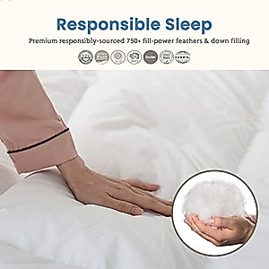 Hotel Collection Feathers & Down Comforter King Size | All Season Down Duvet Insert | Luxurious 750 Fill Power Ultra-Soft 500TC Egyptian Cotton-Blend Quilted with Tabs (106x90, Solid White)