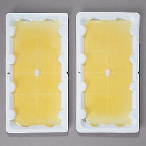 JT Eaton 111-24 Stick-Em Rat and Mouse Glue Trap Tray, 10" x 5", Non-Toxic, White, Case of 24