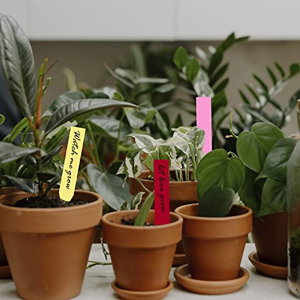 100 Pcs Waterproof Garden Plant Labels for Vegetables & Seeds