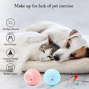 Found Notice Cat Ball Toy, Interactive Cat Toys, Automatic Motion Activated Moving Ball Hide and Seek Game for Indoor Exercise，Gifts for Kittens