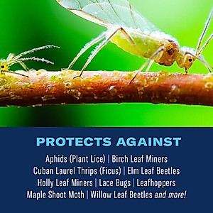 BioAdvanced 2-In-1 Systemic Rose and Flower Care, Granules For Insects, 5 lb