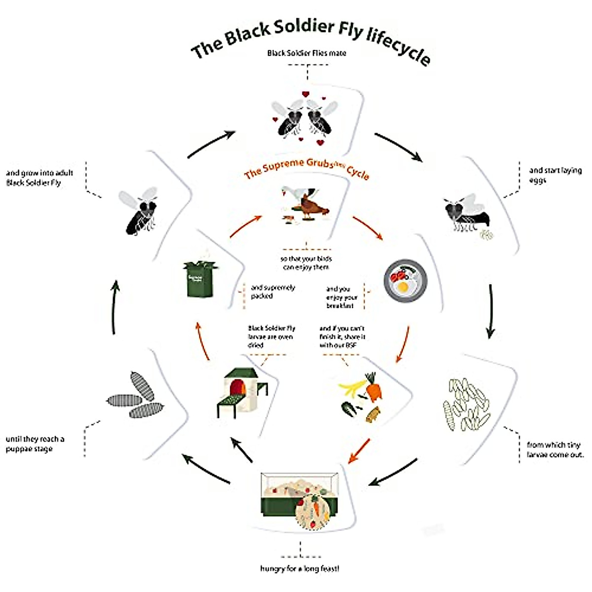 Supreme Grubs Natural Black Soldier Fly Larvae for Chickens, 85X More Calcium Than Mealworms-High Protein Grub Food Chicken Treats for Hens, Probiotic-Rich Chicken Feed, Calcium-Dense Bird Treat 5lb