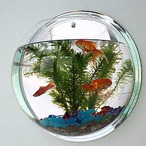 Fish Tank Wall Hanging Aquarium Round Acrylic Pot Plant Wall Mounted Bowl Aquarium Home Decoration Aquatic Pet Supplies Fish Tank 19.5cm