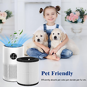 XBWW 2 Packs D10 Replacement Filter Compatible with Tailulu D10 Air Cleaner Purifier, 3-in-1 Filter of D10 H13 Grade True HEPA Filter, Activated Carbon Filter and Fine Mesh Nylon Pre-Filter