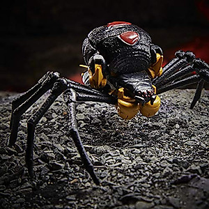 Transformers Toys Generations War for Cybertron: Kingdom Deluxe WFC-K5 Blackarachnia Action Figure - Kids Ages 8 and Up, 5.5-inch