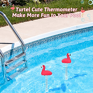 Floating Pool Thermometer, Pool Temperature Thermometer for Cold Plunge, Large Display, Easy to Read, Shatter Resistant, for Outdoor & Indoor Swimming Pools, Spas, Hot Tubs & Aquariums (Flamingo)