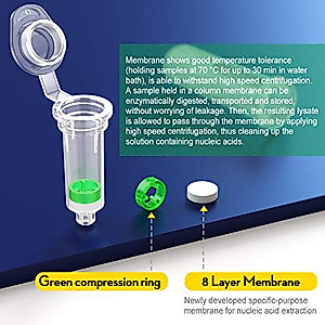 50Pcs 2mL Spin Column Micro centrifuge Tube Nucleic Acid Purification Column for Genomic DNA/RNA Purification, High Speed Plasmid Column & Collection Tube Kit by Biomed Scientific