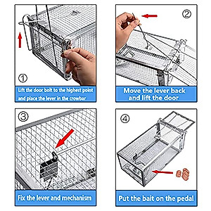 PIXESTT Humane Mouse Trap, Rat Cage Trap Suitable for Capturing Mice or Hamsters Alive, Friendly Small Animal Humane Live Cage Rat - 11.2'' X 5.5'' X 5''